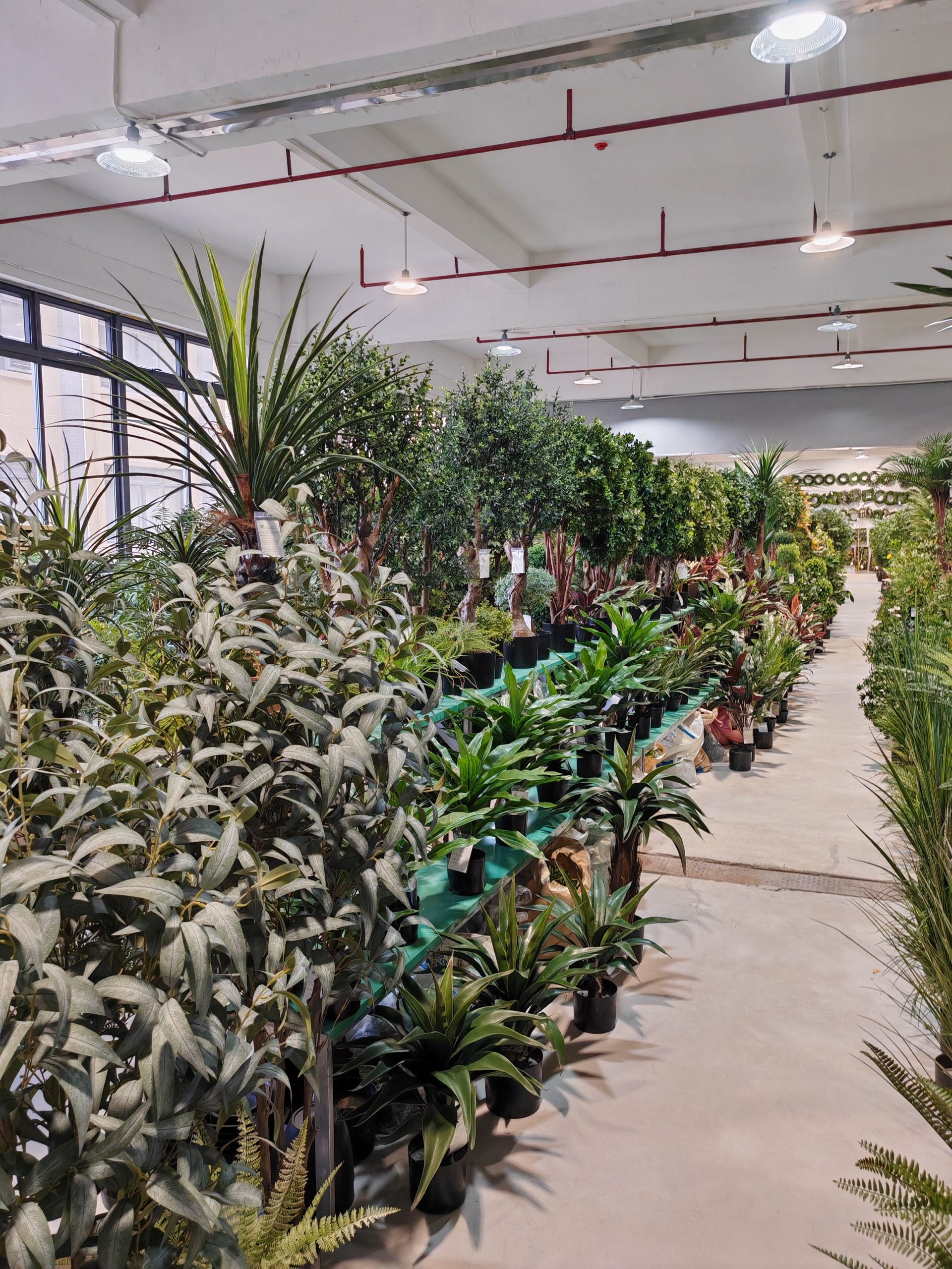 About Sun Fung | Reliable Artificial Plants Manufacturer